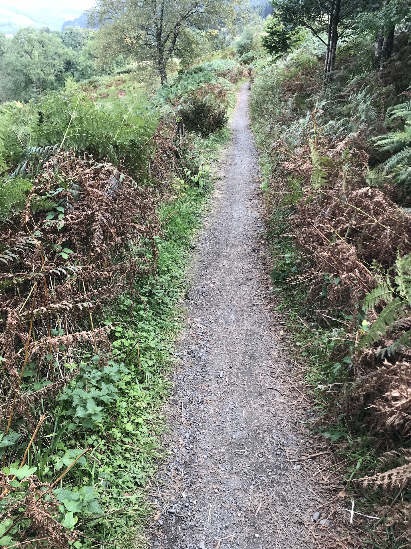 Cycle Routes in Scotland : Callander to Killin (NCN 7) - ROUTE DETAILS ...