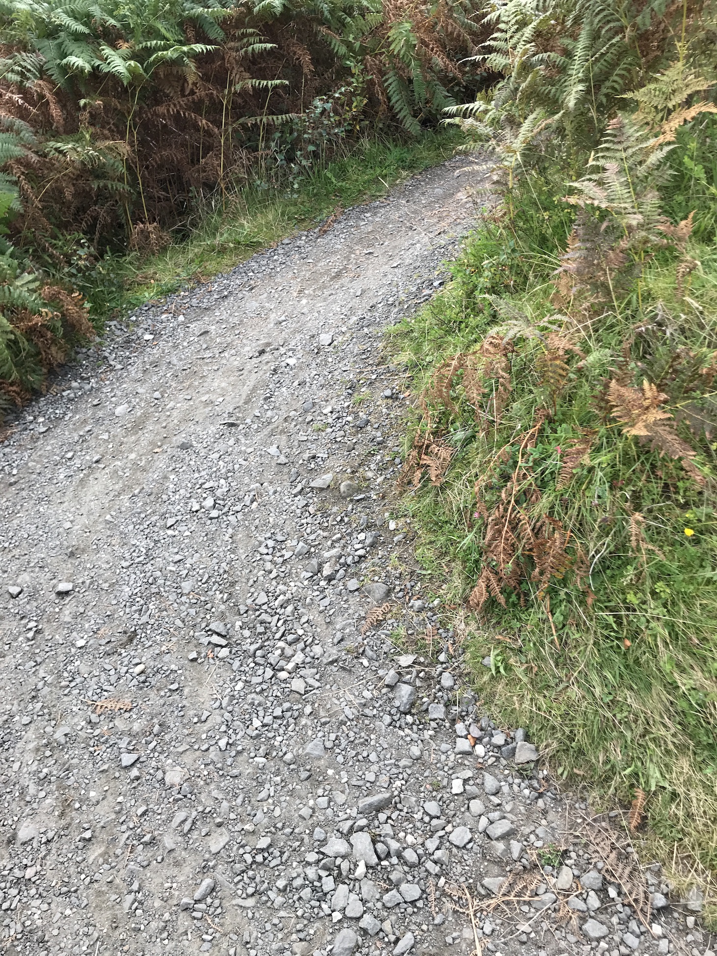 Cycle Routes in Scotland : Callander to Killin (NCN 7) - ROUTE DETAILS ...